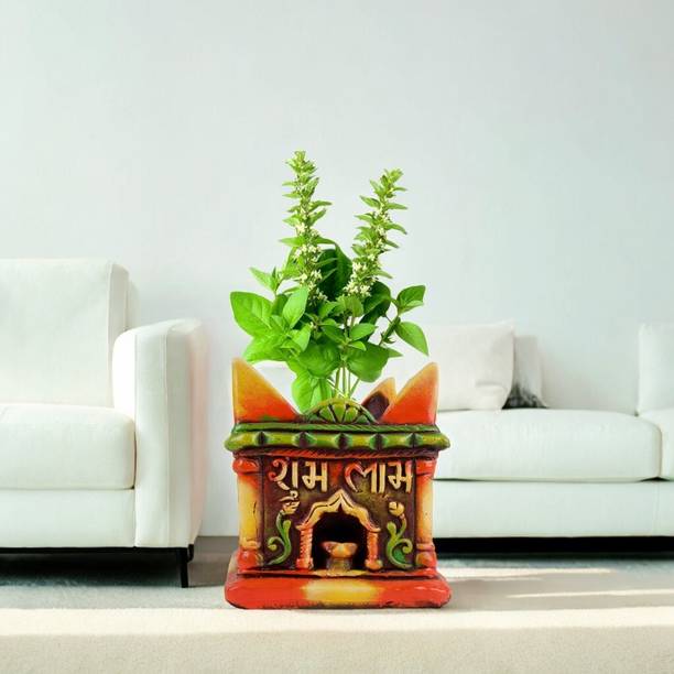 Tulsi Pot Online in India | Flipkart | 19-Sep-25