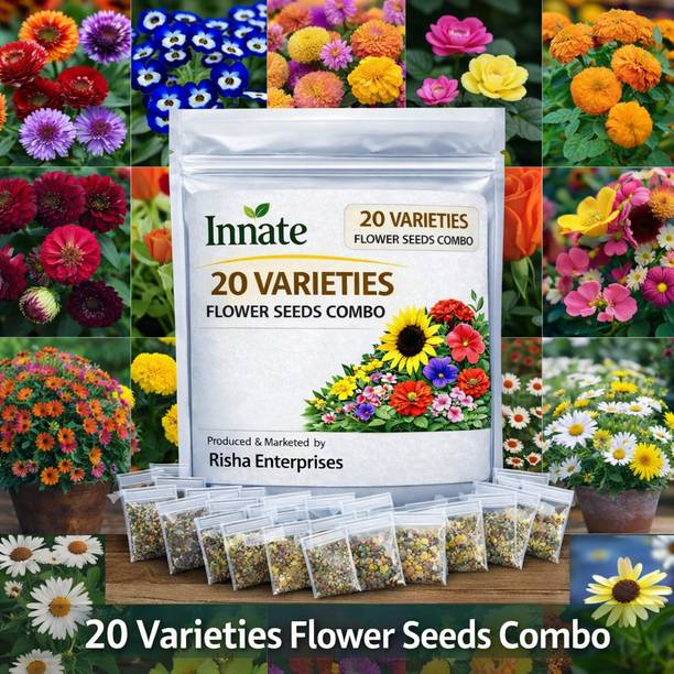Flower Seeds Online in India | Flipkart | 14-Feb-26