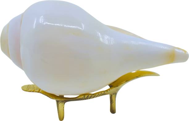 Shankh Online at Best Prices In India | Flipkart | 08-May-24