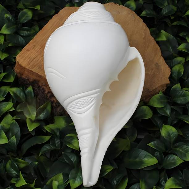 Authentic Shankh & Conch Shells - Pooja Items