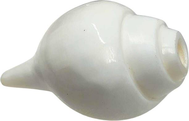 Authentic Shankh & Conch Shells - Pooja Items from ₹199