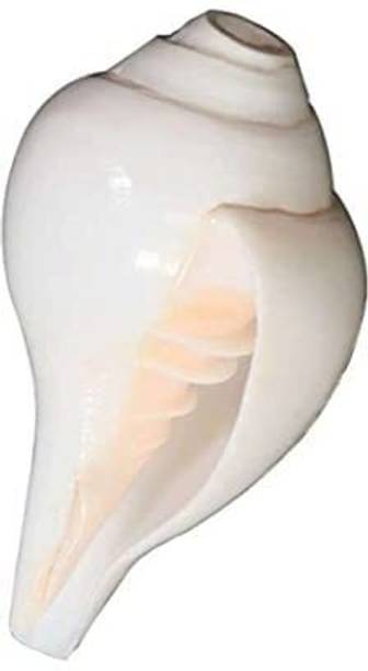 Shankh - Buy Shankh Online at Best Prices In India | Flipkart.com