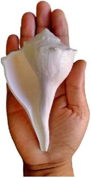 Shankh Online at Best Prices In India | Flipkart | 08-Aug-25