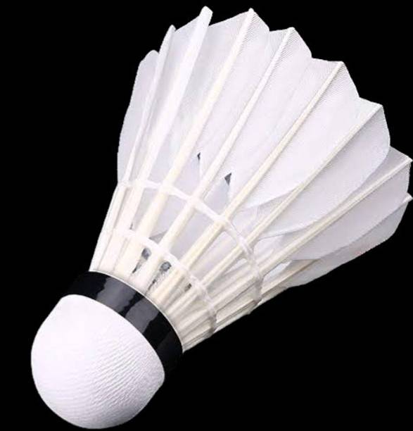 Buy Shuttle Cock Online in India | Flipkart.com 04-Jun-24