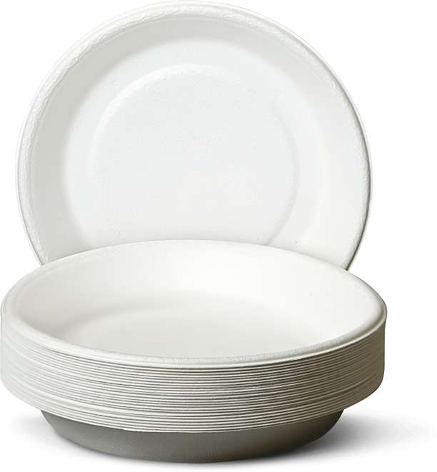 Disposable Plates - Buy Biodegradables Plates Online | Shopsy