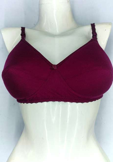 Bra - Buy Best Bras for Women at Great Prices Online | Shopsy