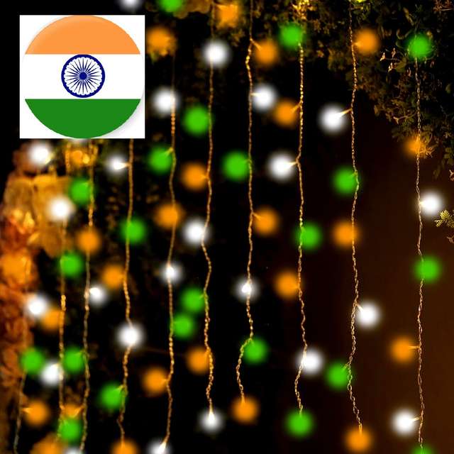 Rice Lights - Shop Decorative Rice Lights Online | Shopsy