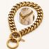 Regiis Luxe Gold Cuban Link Chain Double Ring Clasp Style | 18 Inches ...