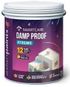 Asian Paints Damp proof 20L White Emulsion Wall Paint Price in India ...