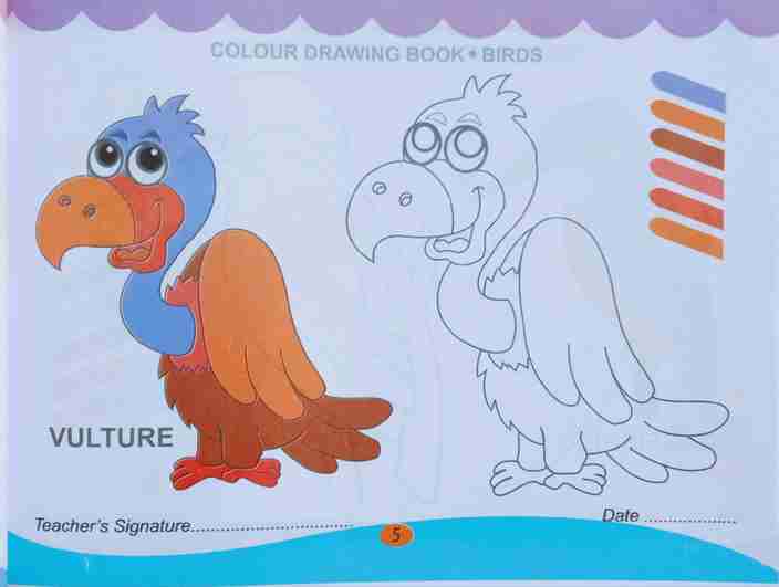 vulture coloring book