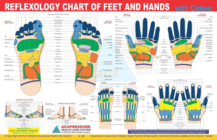 Full Foot Reflexology Charts Printable