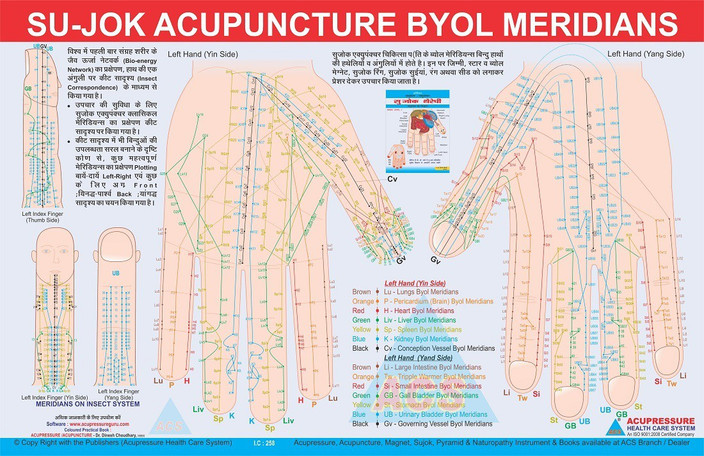 Acupuncture Meridians