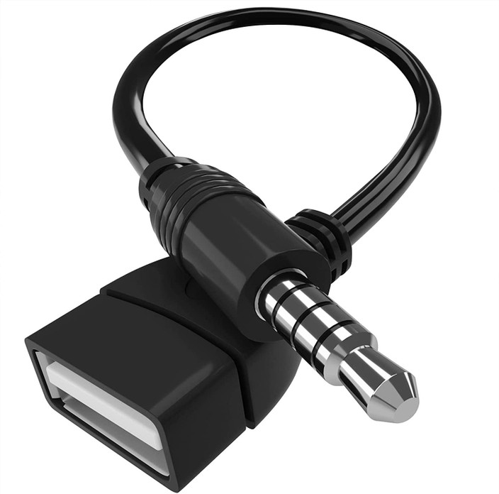 aux cable converter