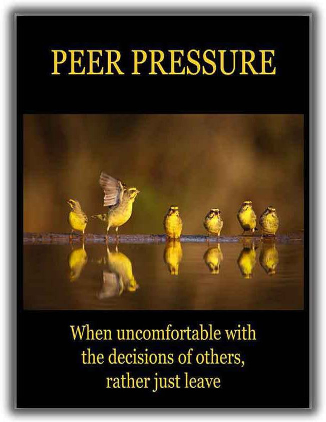 Peer Pressure Poster