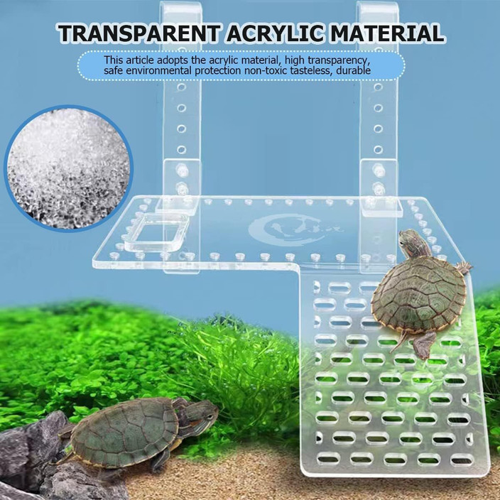 stop tortoise climbing