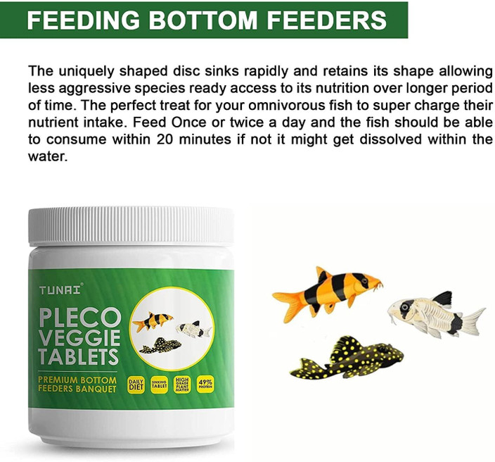 common pleco diet