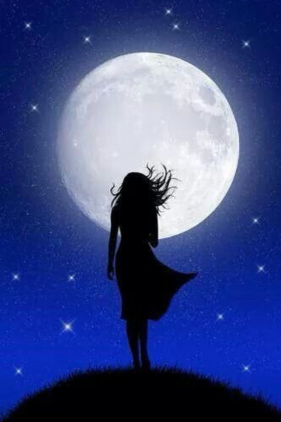 Moonlight Scenery