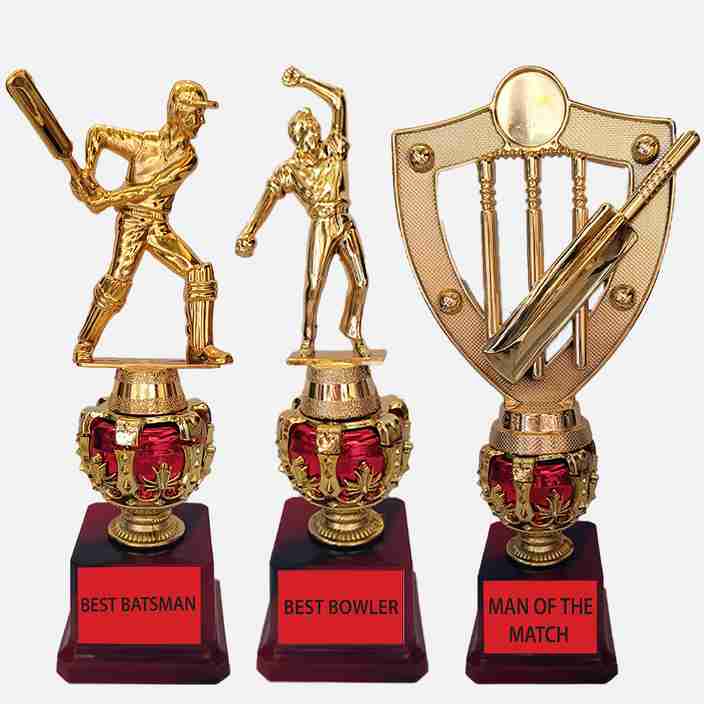 champion trophy score