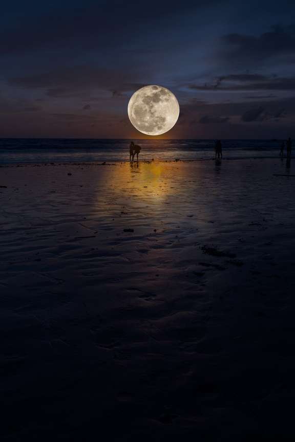 Beautiful Quotes With Pictures Of The Moon On The Ocean MOON DANCE