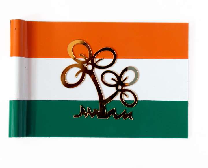 Tmc Party Logo