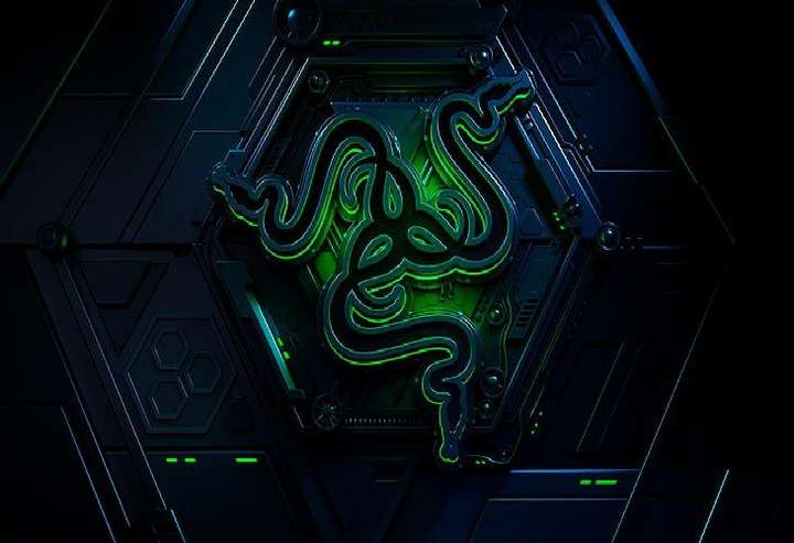 Razer Gaming Logo