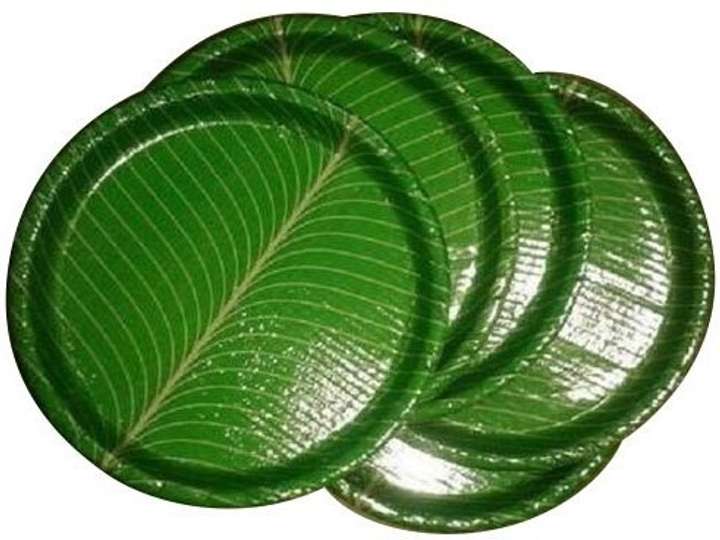 Paper plates cost store