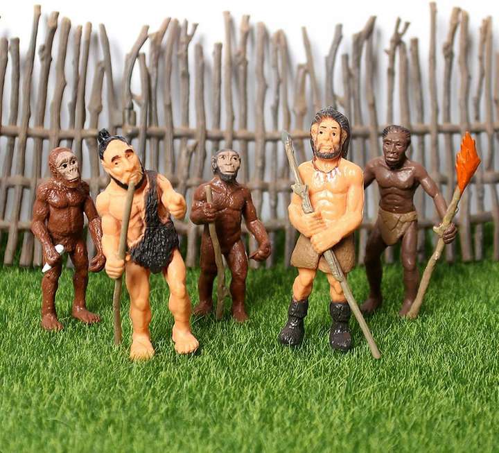 Toy human figures store