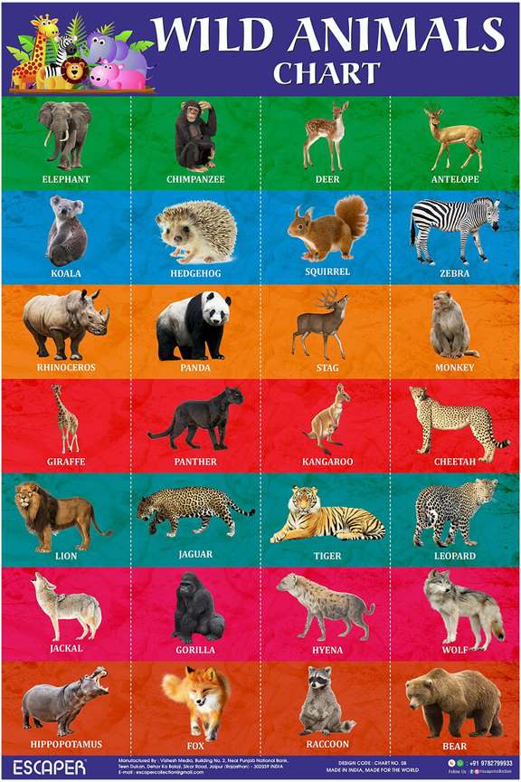 Wild Animals Pictures For Kids Cartoon Animals Kids Images Free