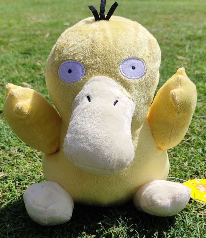 Psyduck Plush Pokemon POK Plush Standard Psyduck 2016 : Amazon.nl: