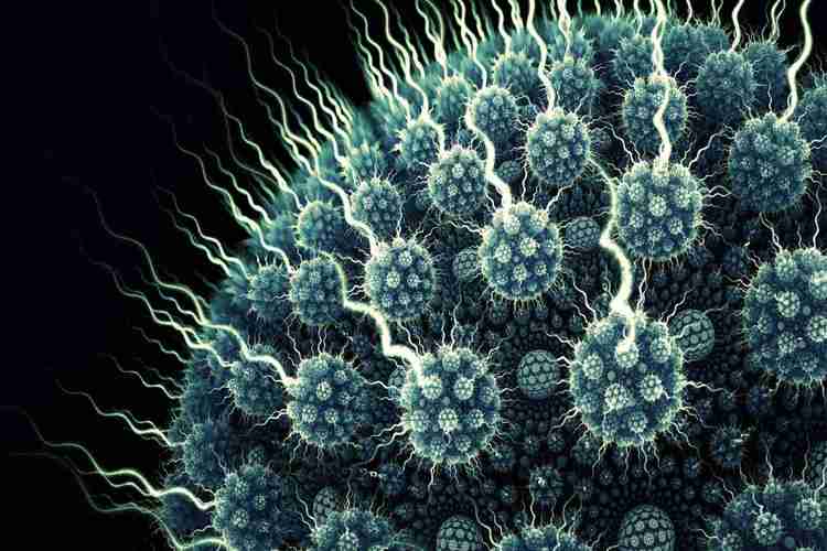 Wallpapers Virus Merck To Scale Up New SARS CoV 2 Test