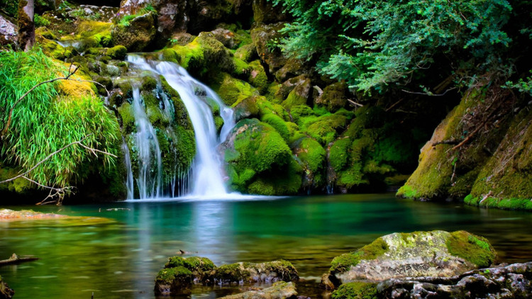 Waterfall Nature Hd