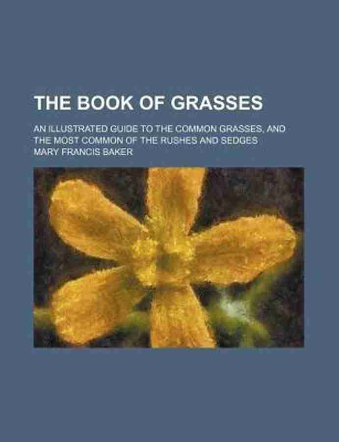 An Illustrated Guide To Common Grasses Sedges And Rushes
