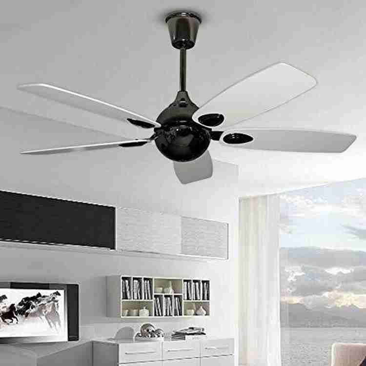 Dual Ceiling Fan With Belt | Shelly Lighting