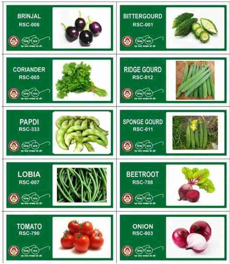 VibeX 10 Varieties Top Selling Vegetable Seeds Combo Seed Price in India Buy VibeX 10 Varieties Top Selling Vegetable Seeds Combo Seed online at Flipkart