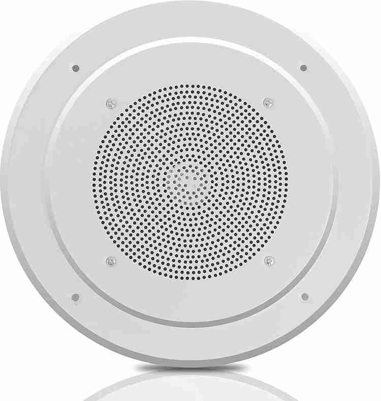 Ceiling Speaker Systems For Home | Shelly Lighting
