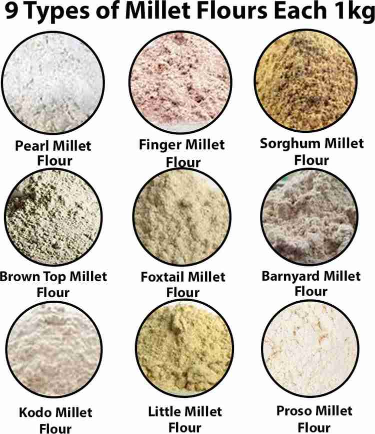 Millet Flour Ma Vie Sans Millet Flour Bio Gluten Free 500g