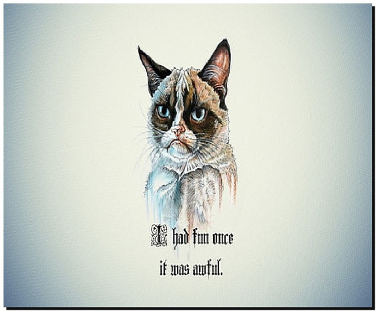 Funniest Grumpy Cat Quotes