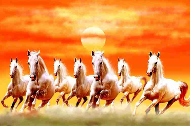 7 horse hd wallpapers 1920x1080 store