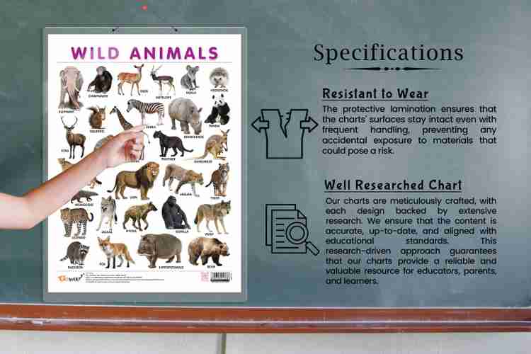 Extinct Animals Chart With Names