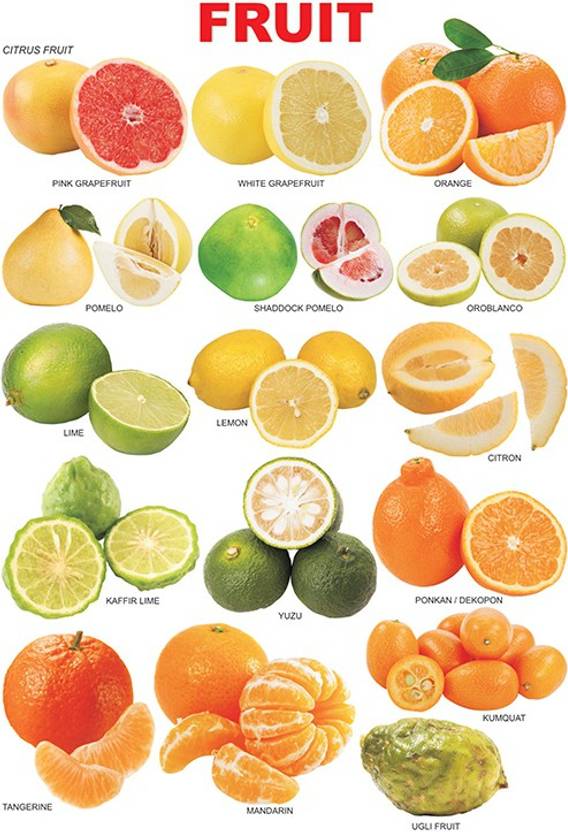 Poster | Fruits Name Chart | Educational Poster | Wall Chart | Colorful ...