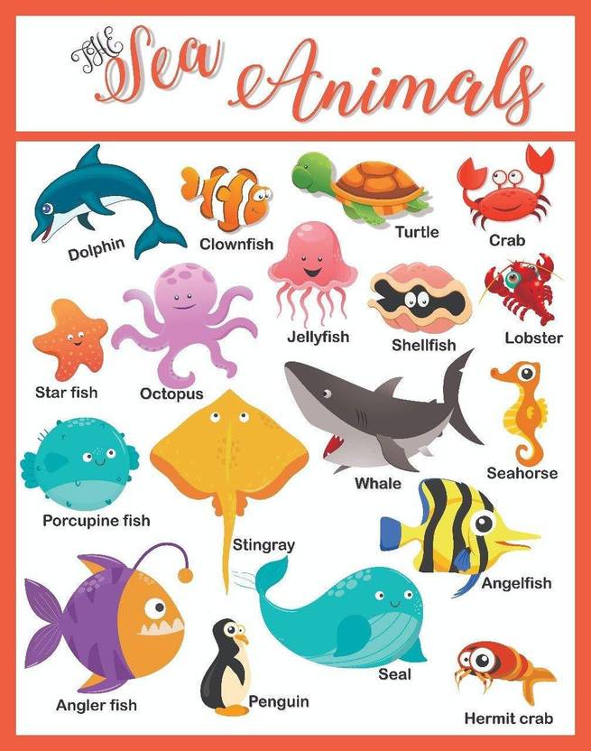 Sea Animals Educational Charts For Kids Home And School A3 Size sea-animals-educational-charts-for-kids-home-and-school-a3-size