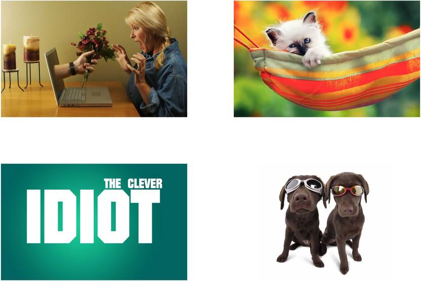 Funny Combo Poster set of Four Posters - Funny Poster for Room - Funny ...