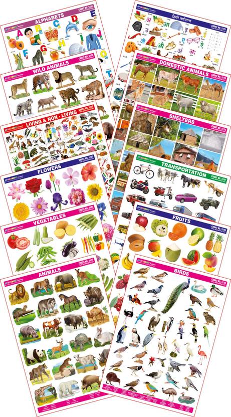 Spectrum Pre-School Educational Pictorial Charts - Set of 12 Pocket ...