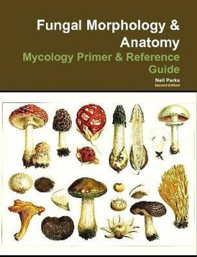 Fungal Morphology & Anatomy: Mycology Primer & Reference Guide: Buy ...