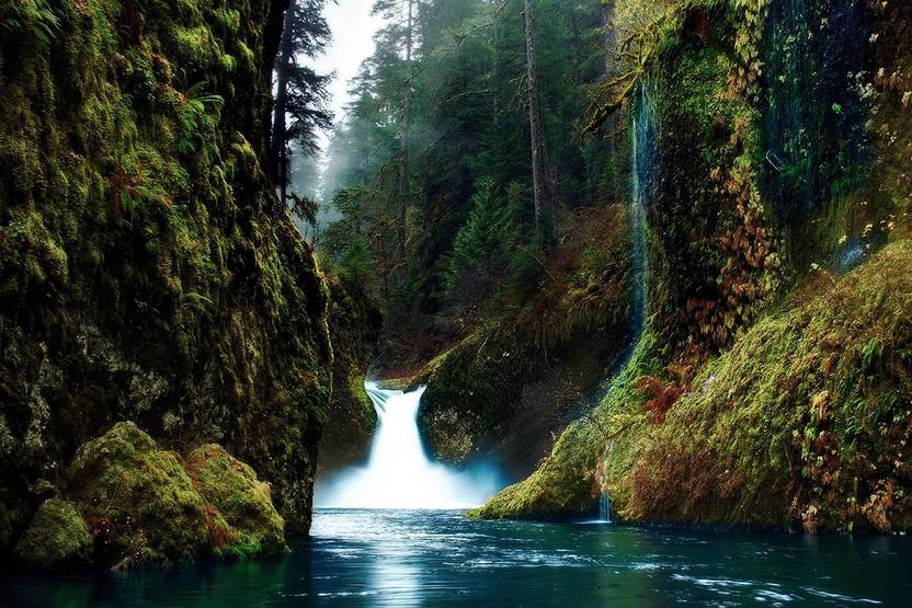 NATURE POSTER 12X18 NON TEARBLE GLOSSY Paper Print - Nature posters in ...