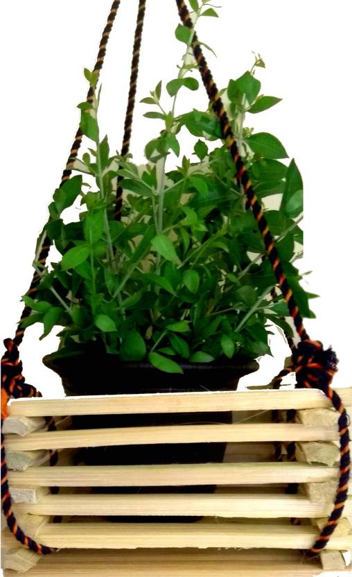 Comfort planters Plant Container Set Price in India - Buy Comfort ...