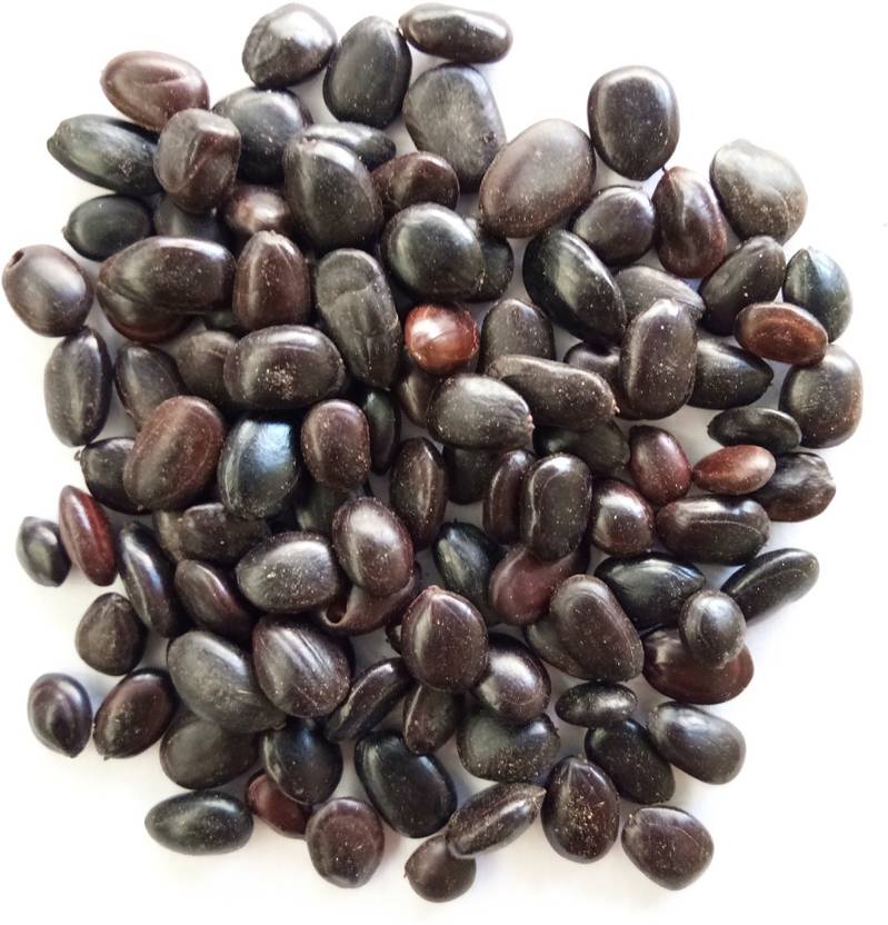 Green World SHIKAKAI / ACACIA CONCINNA SEEDS ( 10 SEEDS ) Seed Price in ...