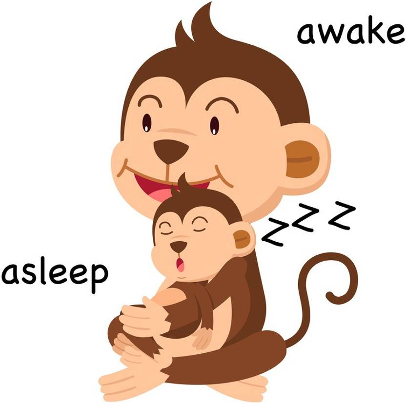 difference between asleep awake |poster for kids|alphabest posters ...