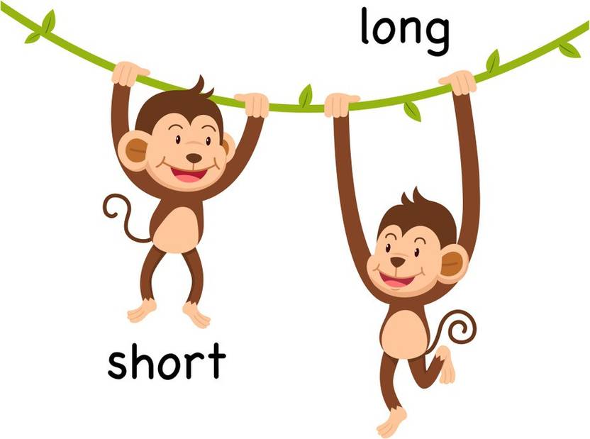 KD difference between short and long Sticker Poster|Kids learnig poster ...