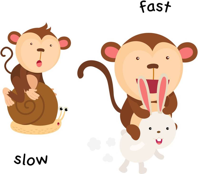difference between fast and slow |poster for kids Paper Print ... difference between fast and slow |poster for kids Paper Print ...